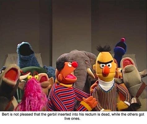 Cookie Monster And Grover Have Lively Ones Bertstrips Funny Spongebob Memes Stupid Funny