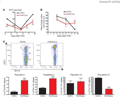 Figure 3 From Hematopoiesis And Ras Driven Myeloid Leukemia