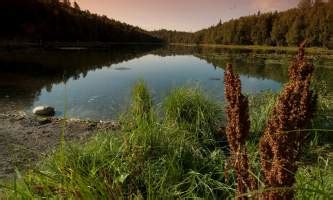 Kincaid Park Things To Do In Anchorage Alaskaorg