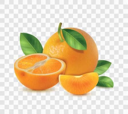 Realistic Orange Vector Art Icons And Graphics For Free Download