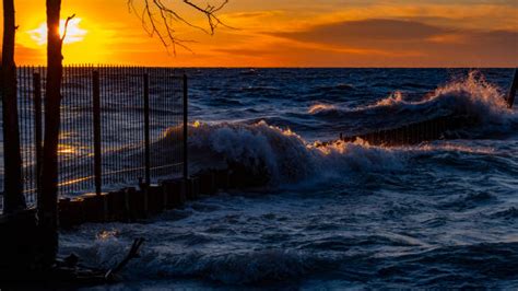 Rassi Brands Of The World™ Download Vector Logos And Logotypes