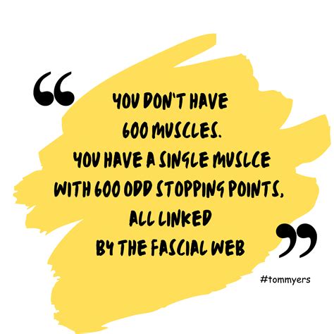 Intro To Fascia Lines Purestretch Stretching And Flexibility Training