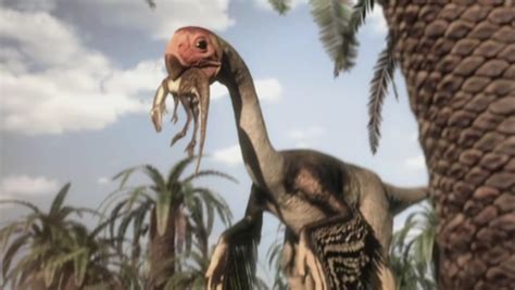 Gigantoraptor Planet Dinosaur Wiki Fandom