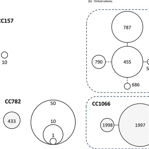 Clonal Complexes Ccs Of Crabs And Crans Circles Represent Sequence