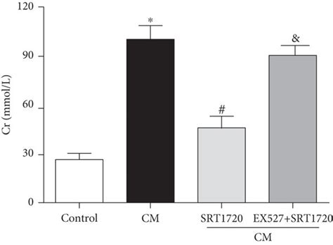 Activation Of Sirt1 Alleviates Cin Cin Was Induced By The Intravenous