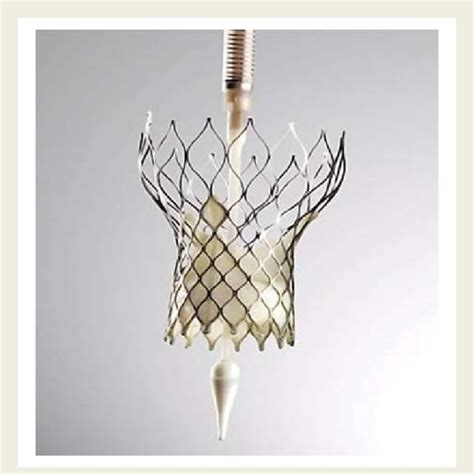 The Corevalve Tm Revalving System Download Scientific Diagram