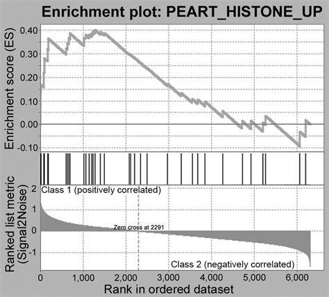 Gene Set Enrichment Analysis Download Scientific Diagram