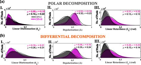 Histograms Corresponding To The Spatial Variation Of The Polarization Download Scientific