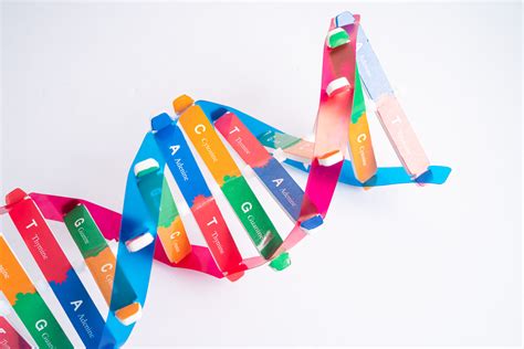 Profiling Extrachromosomal Circular Dnas Human Technopole