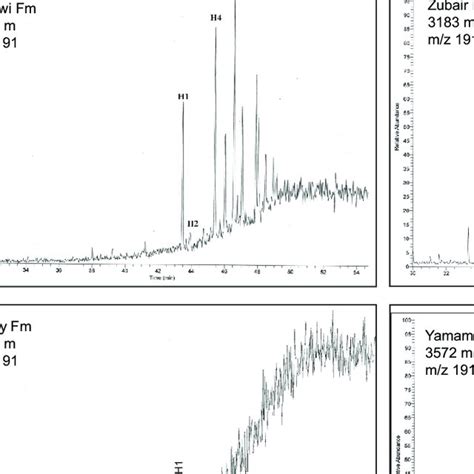 Pdf Source Rock Potential Of The Upper Jurassic Lower Cretaceous Succession In The Southern