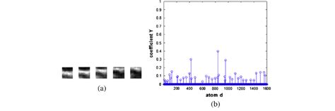 Sparse Representation Over Spatio Temporal Dictionary A Moving