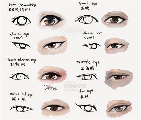 Korean Eye Shape