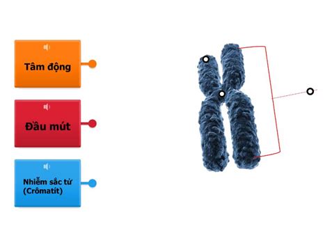 NST Config Labelled Diagram