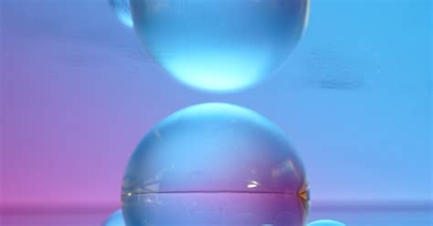 Bio Based Synthetic Polymers Insights Into Innovation Applications Advantages And