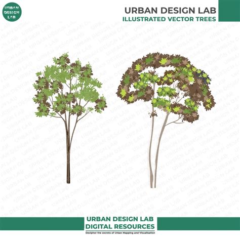 Scalable Tree Graphics For Architectural Drawings Vector And Psd