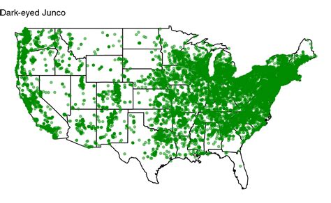 Session 12 Vectorization And Loops In R Biodash