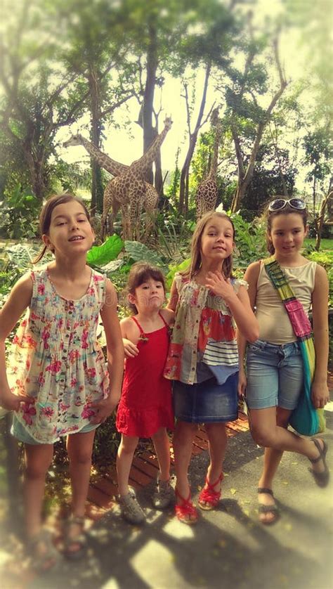 Grupo De Cuatro Chicas Jóvenes Foto de archivo Imagen de cubo alineadas