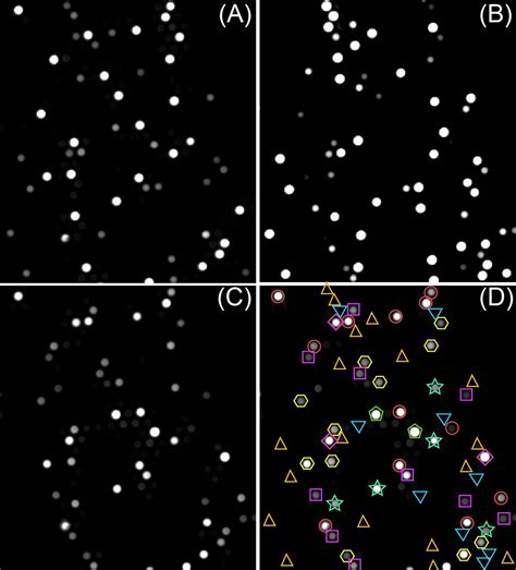 Multiplexed Fluorescent Microarray For Human Salivary Protein Analysis