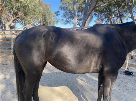 4 Things You Need To Know About The Iliopsoas Muscles — The Functional