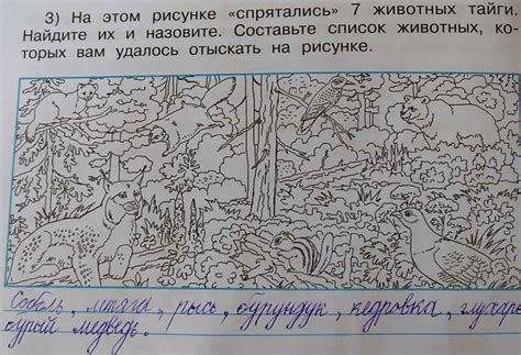 Рисунок 7 животных тайги