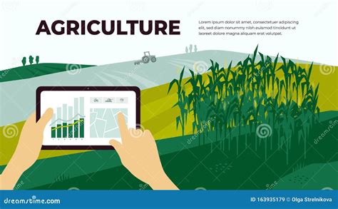Agriculture And Analysis Data By Tablet Stock Vector Illustration Of