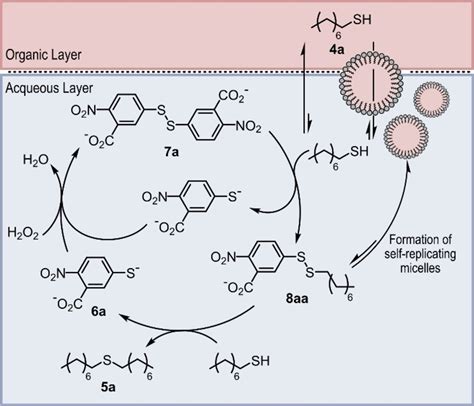 Dissipative Dynamic Libraries Ddls And Dissipative Dynamic Combinatorial Chemistry Ddcc