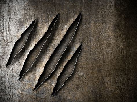 826 Claw Marks Wall Royalty Free Photos And Stock Images Shutterstock