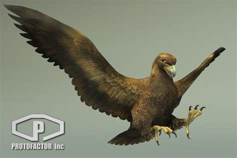 golden eagle 角色 unity asset store
