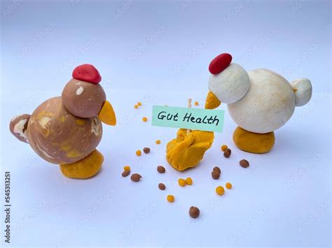 Feed Conversion Ratio For Broiler Chicken Image For Brochures Catalog