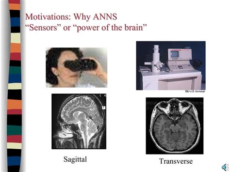 Artificial Neural Networks Lect1 Introduction And Neural Computation