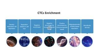 Enrichment Isolation And Characterization Of CTCs PPTX
