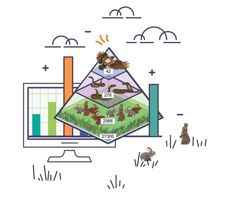 What Are Gizmos Explorelearning Gizmos About