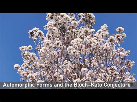 Free Video The P Adic Constant For Mock Modular Forms Associated To Cm Forms From International