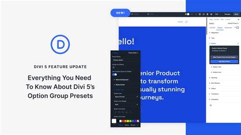 Everything You Need To Know About Divi 5s Option Group Presets
