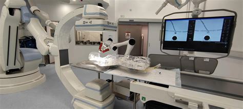 Microrobotic Platform For The Image Guided Endovascular Intervention