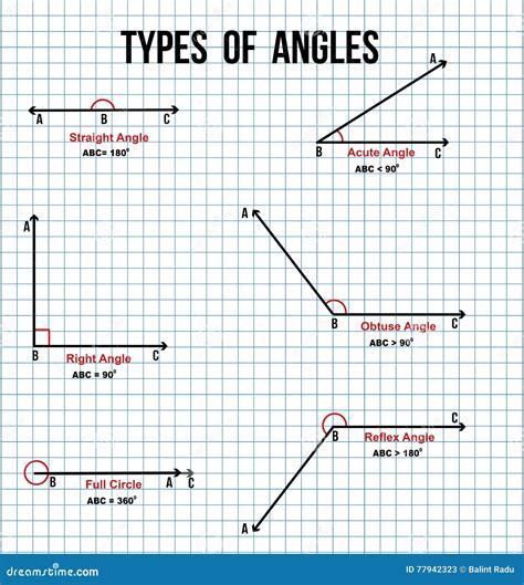 Angles Types Geometry Trigonometry Vector Illustration Cartoondealer