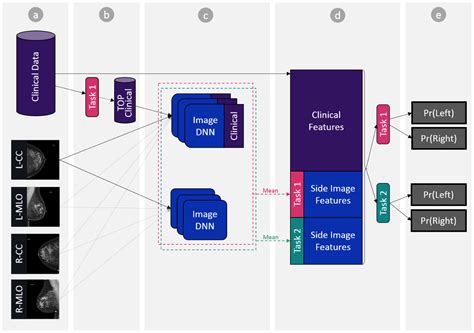 Ibm Research Predicting Breast Cancer By Applying Deep Learning To Linked Health Records And