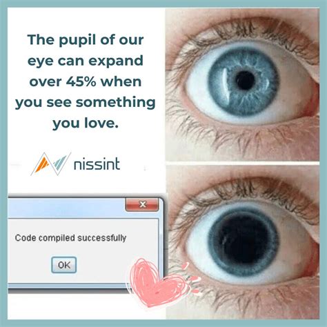 Nissint Technologies Llc On Linkedin Softwareengineer Softwaredeveloper Devlife