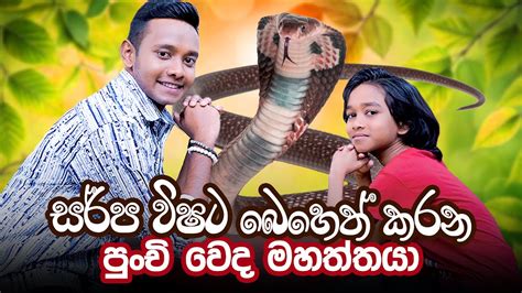 සර්ප විෂට බෙහෙත් කරන පුංචි වෙද මහත්තයා Punchi Dharanee Talk Show Youtube