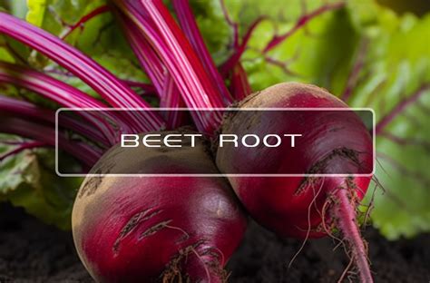 Benefits Of Beet Root Interstellar Blends Activate Your Super Powers