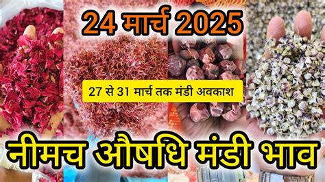 आज औषधि मंडी में लग गया औषधियों का भंडार आई 50 से अधिक औषधियां । नीमच मंडी भाव Youtube