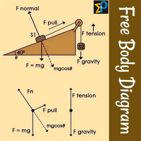 math and physics free body diagram subscribe