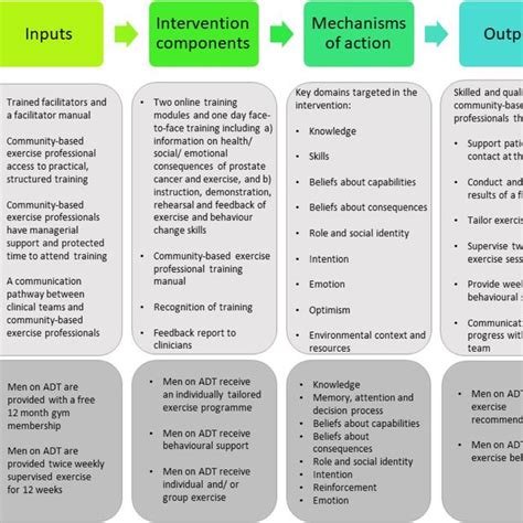 Logic Model Outlining The Assumptions Of A Training Package For