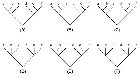 Phylogenetic Inference Mega Manual