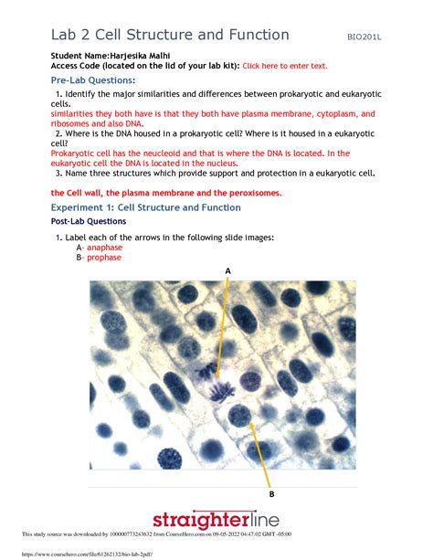 Lab Cell Structure And Function Questions With Correct Answers Latest Updates Plasma