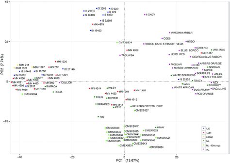 principal component analysis using snp data plotting the first two