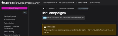 Api Versioning Strategy Sailpoint Developer Community