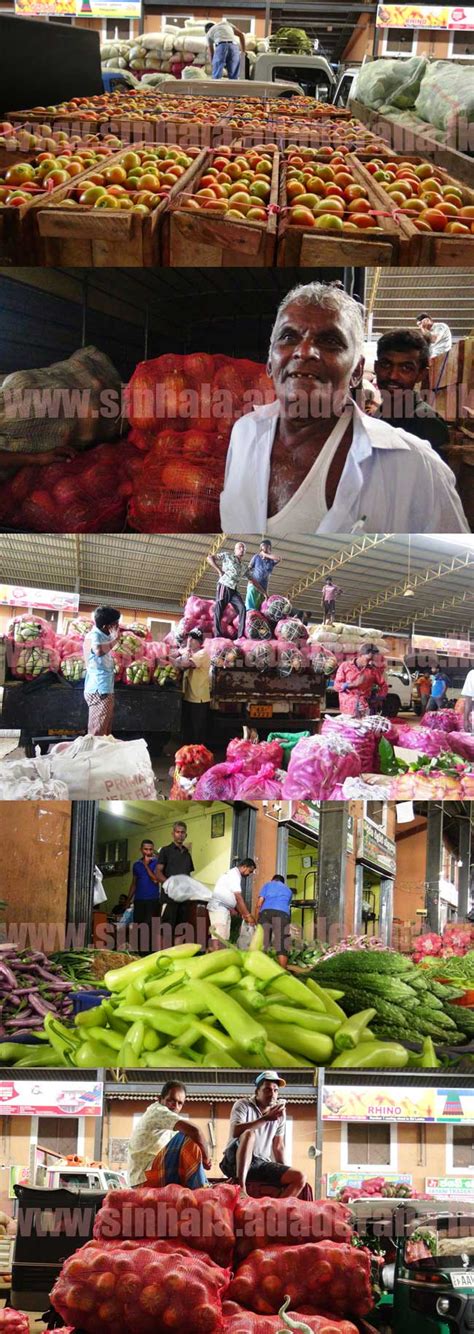 එළවළු තොඟ මිල පහලට