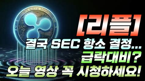 리플 결국 Sec 항소 결정급락대비오늘 영상 꼭 시청하세요 Youtube