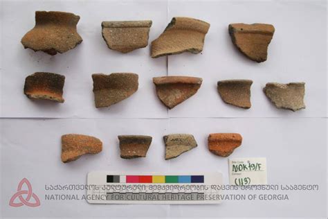 ნოქალაქევის ნაქალაქარის არქეოლოგიური გათხრები მიმდინარეობდა Kvira Ge